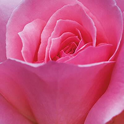 Outdoor Living Ideas - The Home Depot