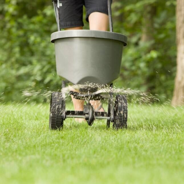 Moss Out! 40 lb. 10,000 sq. ft. Lawn Moss Killer Granules 100517153 ...