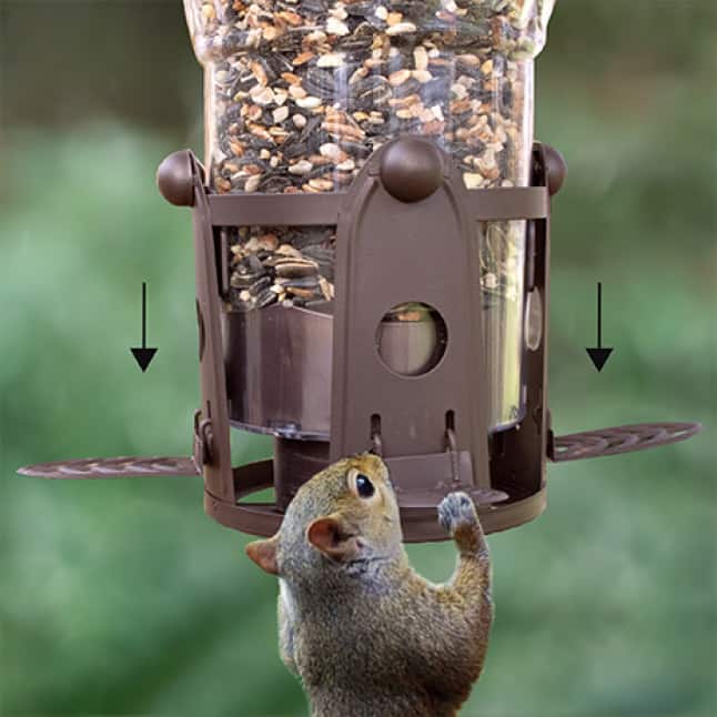 Perky-Pet Squirrel-Be-Gone Squirrel-Resistant Metal Durable Wild Bird ...