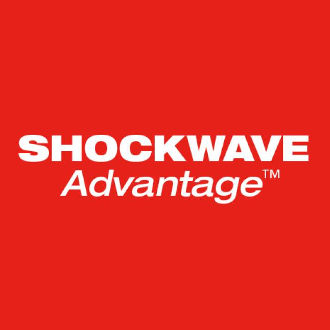 Milwaukee SHOCKWAVE Impact Duty 6 in. Phillips #2 Alloy Steel Screw ...