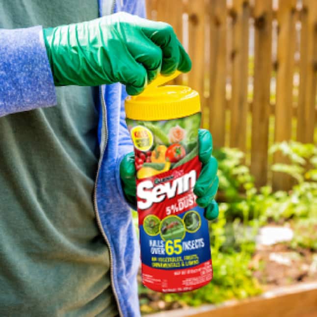Sevin 1 lb. Ready-to-Use 5% Dust Garden Insect Killer Shaker Bottle (3 ...