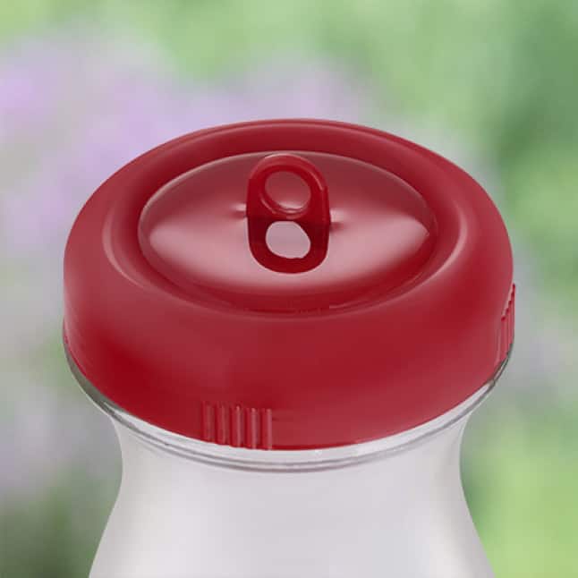 Perky-Pet Finest Top-Fill Plastic Hummingbird Feeder - 16 oz. Capacity ...