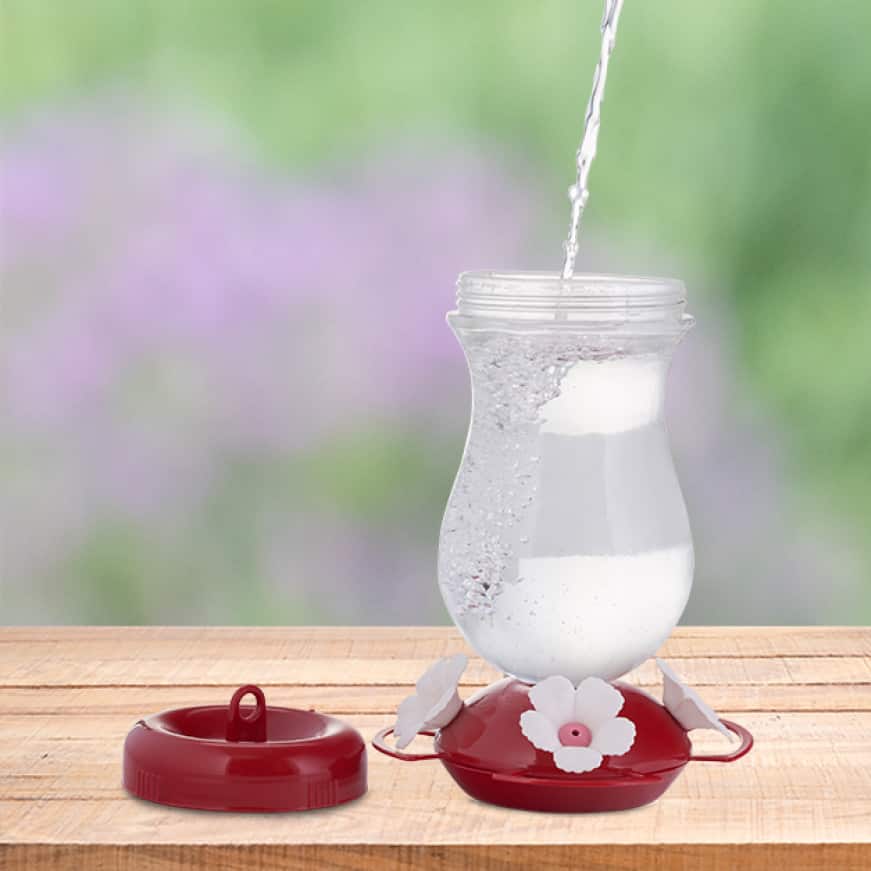 Perky-Pet Petunia Top-Fill Glass Hummingbird Feeder - 16 oz. Capacity ...