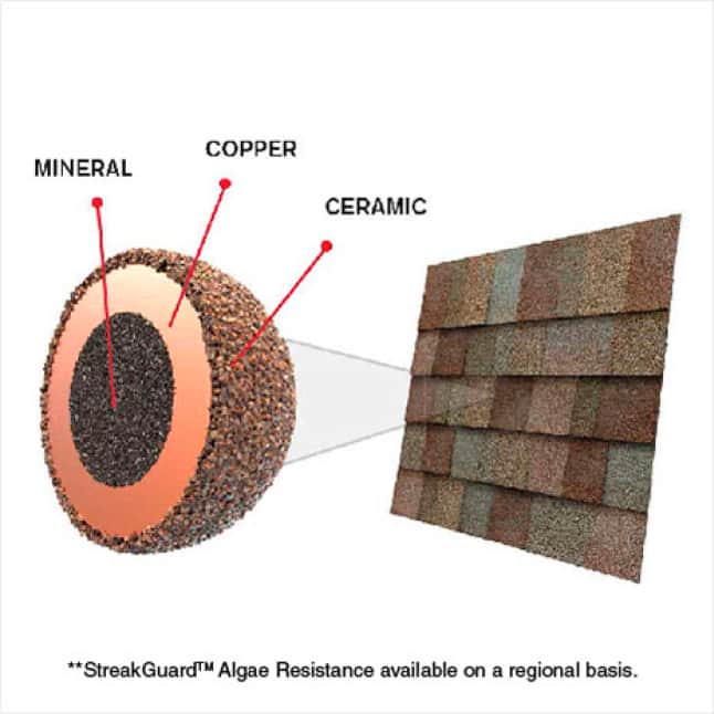 Owens Corning Oakridge Teak Algae Resistant Laminate Architectural ...