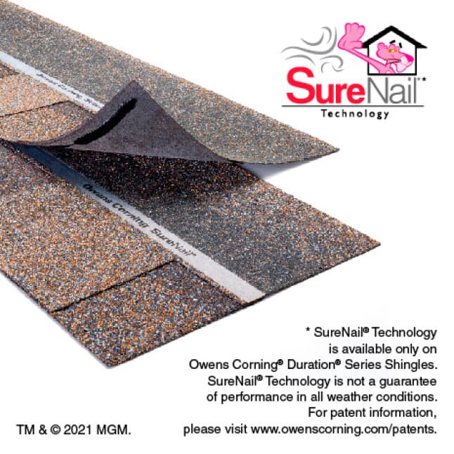 Owens Corning TruDefinition Duration Estate Gray Algae Resistant ...