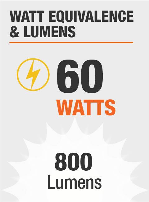 EcoSmart 60W Equivalent A19 Dimmable Energy Star LED Light Bulb Soft ...