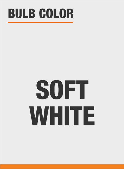 EcoSmart 60-Watt Equivalent G16.5 Globe Dimmable Frosted Glass Filament ...