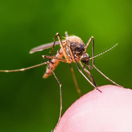 TERRO Garbage Guard Outdoor Trash Can Insect Killer T801 - The Home Depot