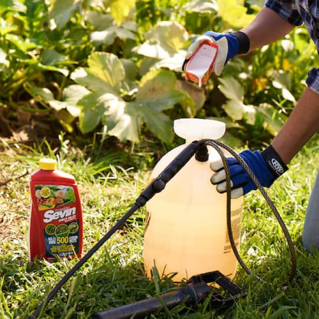 Sevin 16 oz. Insect Killer Concentrate 100530122 - The Home Depot