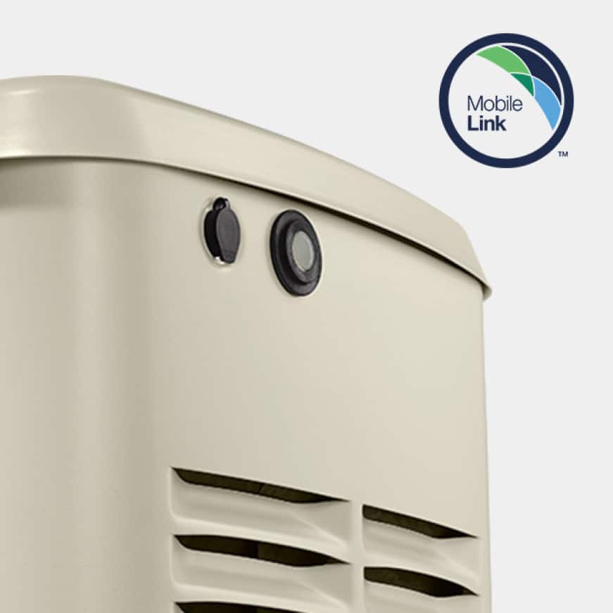 Generac 22,000 Watt - Dual Fuel Air- Cooled Whole House Home Standby ...