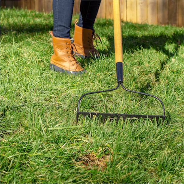 Pennington Lawn Booster Tall Fescue 9.6 lb. 1,200 sq. ft. Grass Seed ...