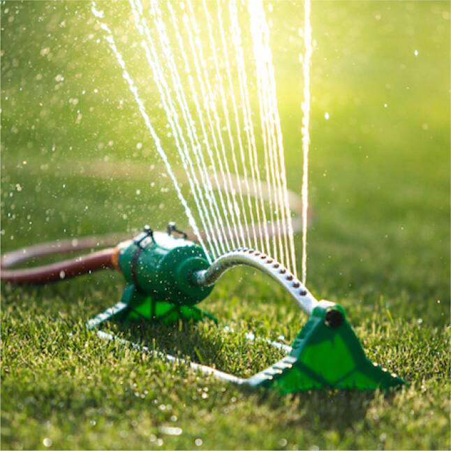 Pennington Lawn Booster Tall Fescue 35 lb. 4,375 sq. ft. Grass Seed ...