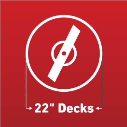 Toro Recycler 22 in. Briggs & Stratton High Wheel Variable Speed Gas ...