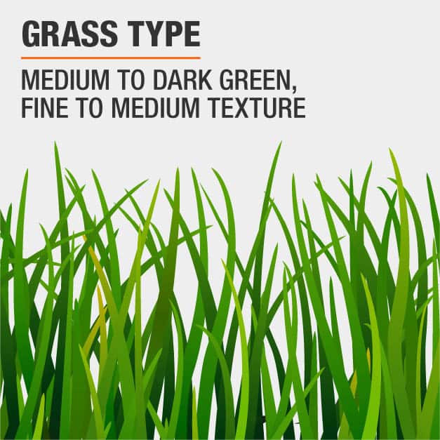 Vigoro 20 lbs. Contractor's Grass Seed Mix 100544424 - The Home Depot
