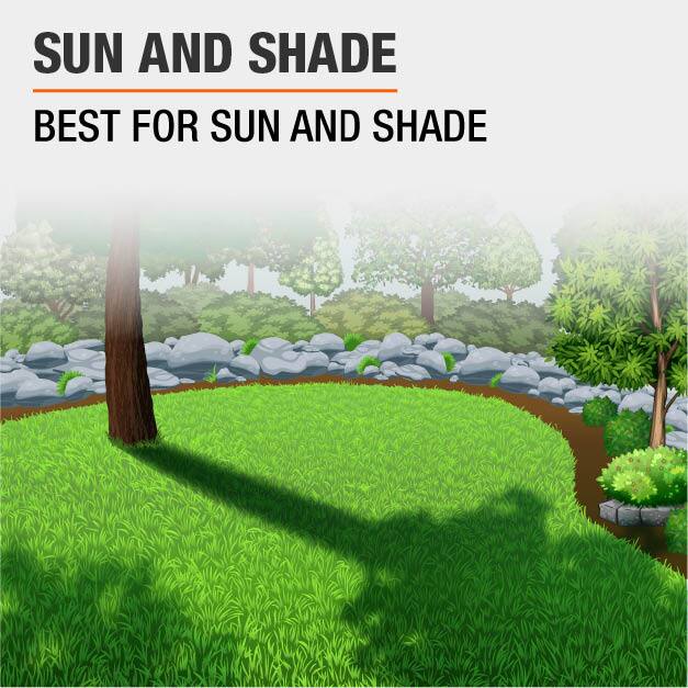 Vigoro 7 lbs. Tall Fescue Grass Seed Blend 100544415 - The Home Depot