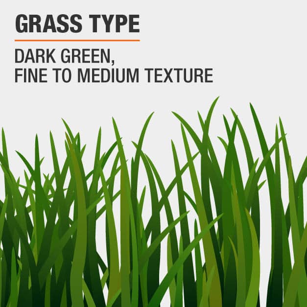 Vigoro 7 lbs. Tall Fescue Grass Seed Blend with Water Saver Seed ...