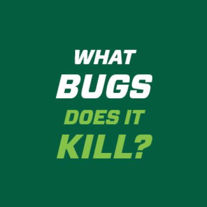 Ortho Bug B-gon Lawn Insect Killer 10 lbs. for Above and Below the ...