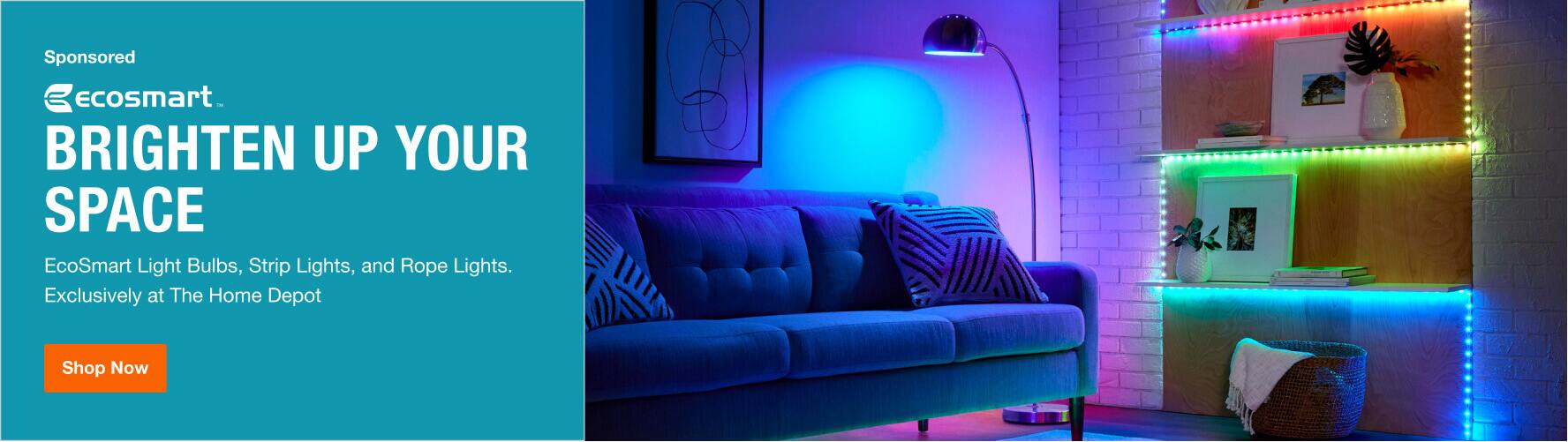 EcoSmart - Light Bulbs - Lighting - The Home Depot