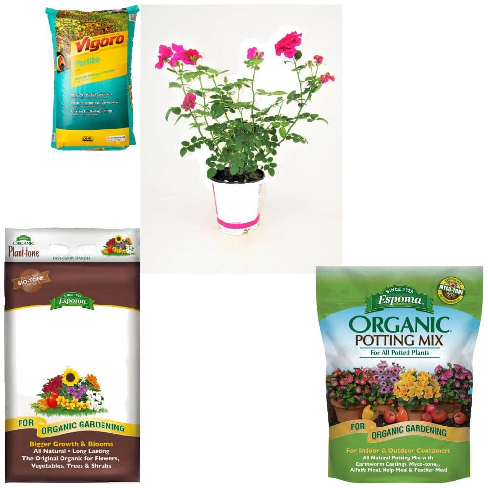 Espoma Organic All Purpose Plant Food Gardening Bundle - The Home Depot